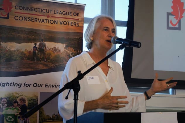 Washer recognized for conservation efforts | Nancy on Norwalk